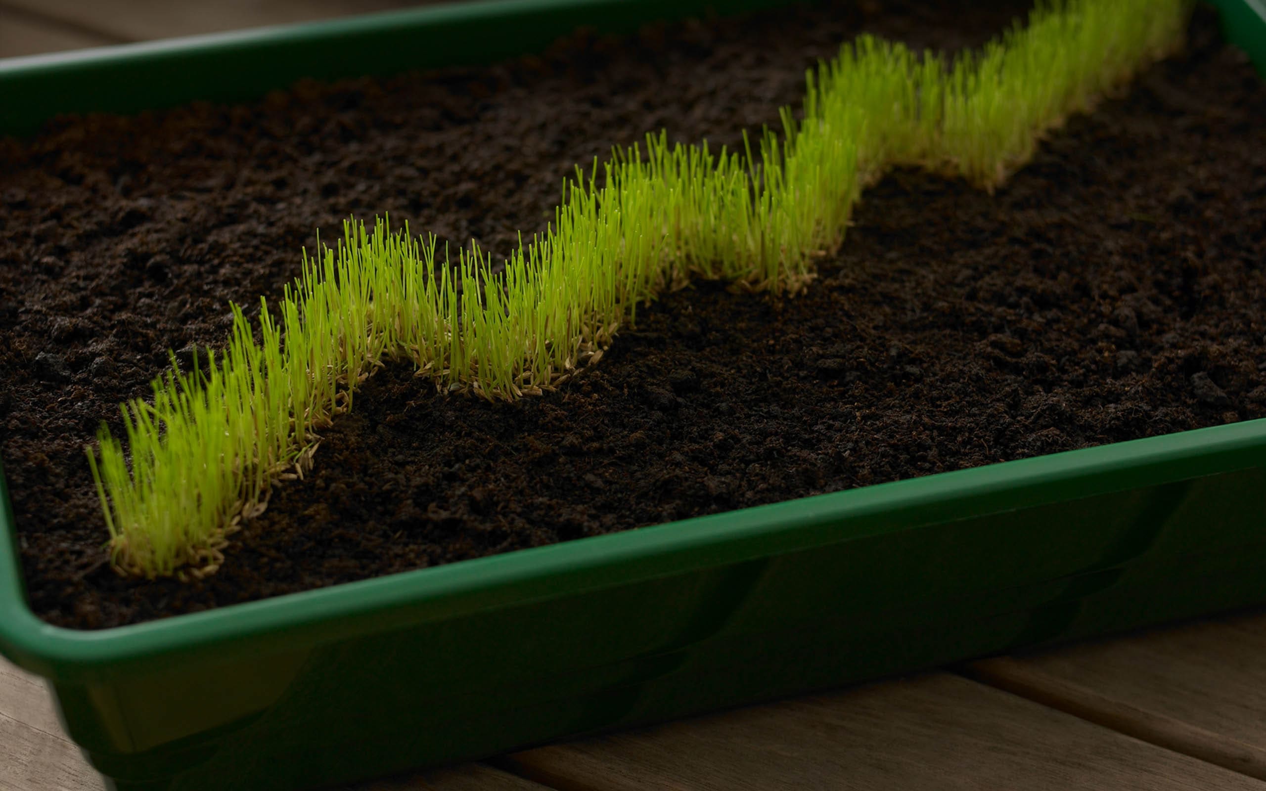 Results | Spilman Thomas & Battle